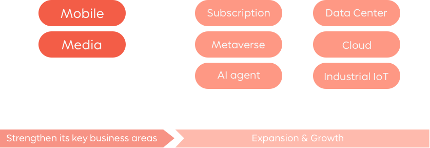 Strengthen its key business areas - Wired and wireless communications